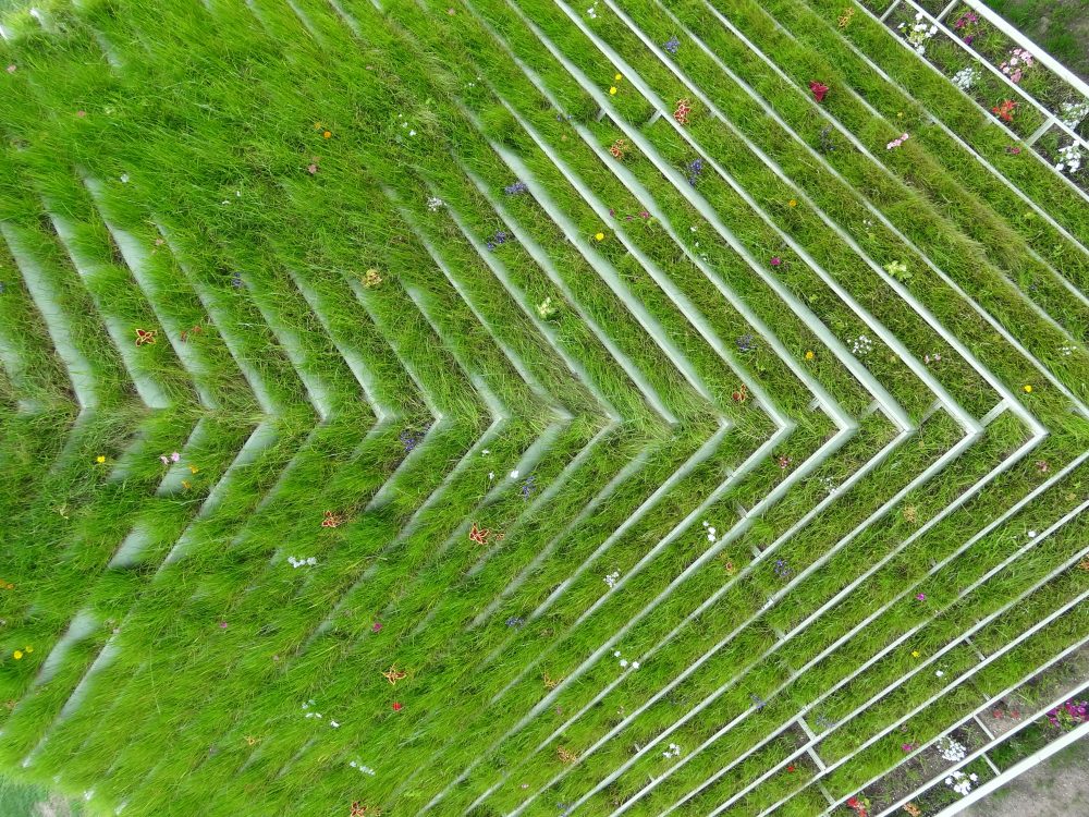 Agnes Denes at Socrates Sculpture Park | Sculpture Nature