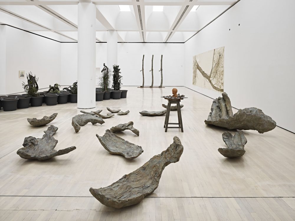 Giuseppe Penone. Scultura | Sculpture Nature