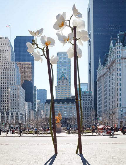 Martin Puryear’s Big Bling at the Madison Square Park, New York ...