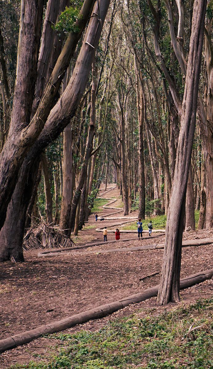 Andy Goldsworthy Investigates the History of the Presidio of San ...