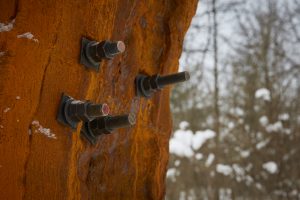 Ai Weiwei — L’arbre recomposé | Sculpture Nature