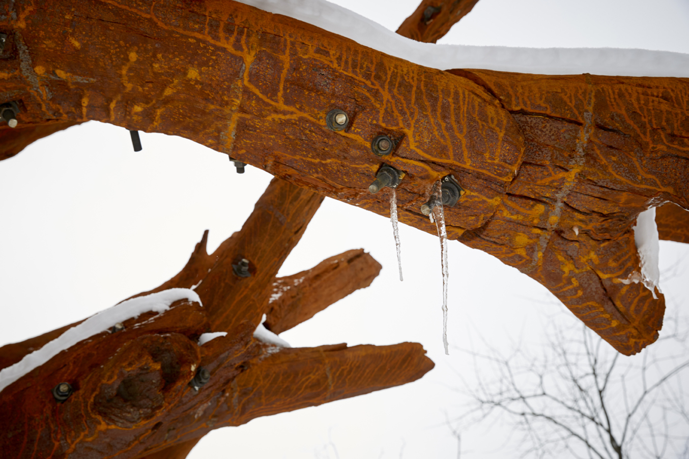 In the Shade of Trees #1 Ai Weiwei — The Tree Recomposed | Sculpture Nature