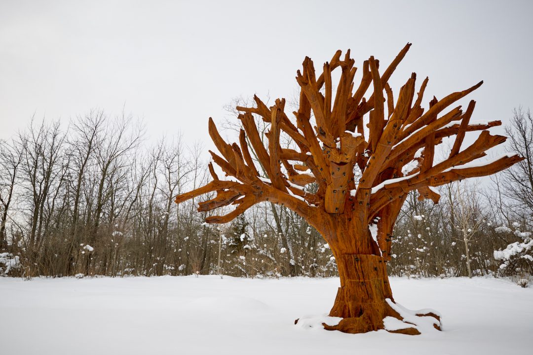 In the Shade of Trees #1 Ai Weiwei — The Tree Recomposed | Sculpture Nature