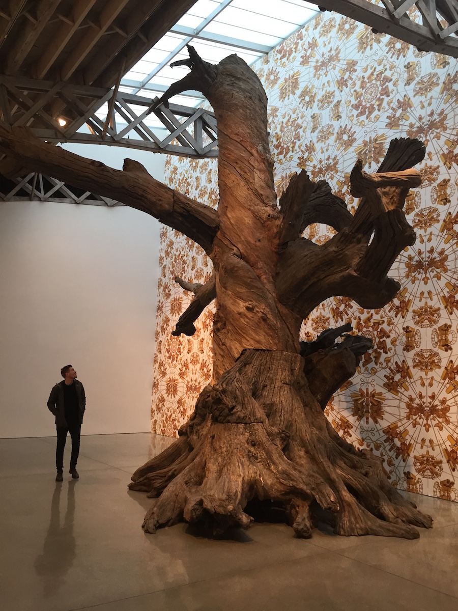 In the Shade of Trees #1 Ai Weiwei — The Tree Recomposed | Sculpture Nature