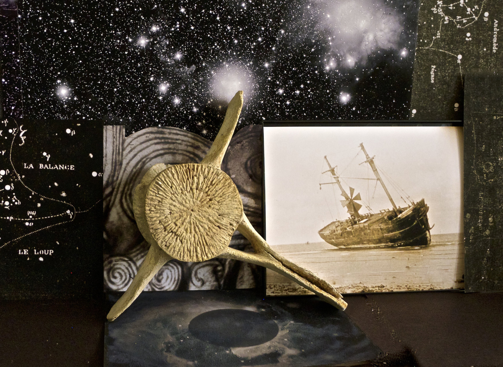 to imagine, to revive and make visible this human connection with the ...