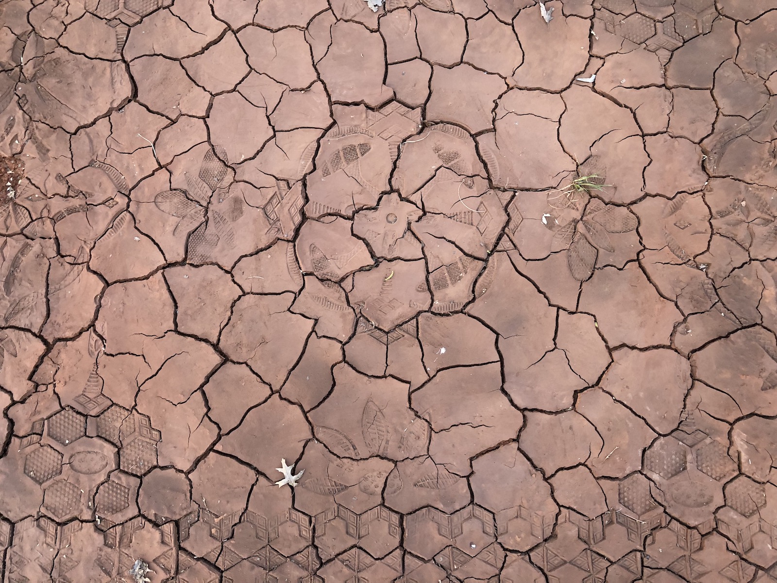 Rena Detrixhe, Place Out of Matter | Sculpture Nature